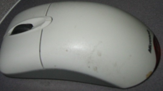 Mouse Before and After Shots